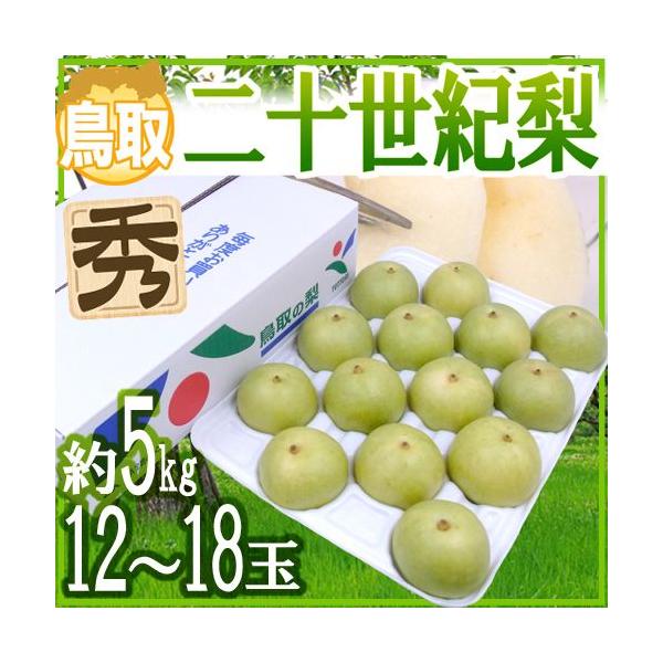 【発売日：2026年08月30日】【送料無料】「青梨の王様」甘味と酸味のバランスが抜群！果汁滴るジューシーでシャクシャクの二十世紀梨♪乾いた体が潤うおいしさです！/フルーツ/果物/5キロ/爆買