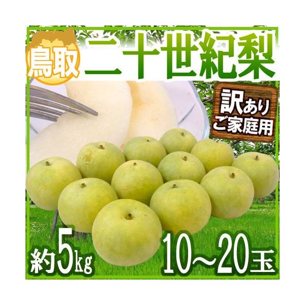 【発売日：2026年08月30日】【送料無料】「青梨の王様」甘味と酸味のバランスが抜群！果汁滴るジューシーでシャクシャクの二十世紀梨♪乾いた体が潤うおいしさです！/フルーツ/果物/5キロ/爆買