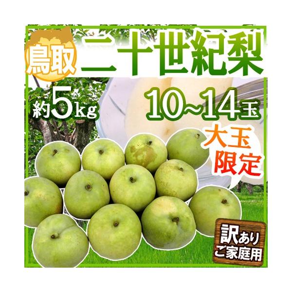 【発売日：2026年08月30日】【送料無料】見た目は訳ありだけど中身はシャクシャクジューシーで甘〜い鳥取産の「二十世紀梨」を大ボリュームでお届けします！/フルーツ/果物/5キロ/爆買