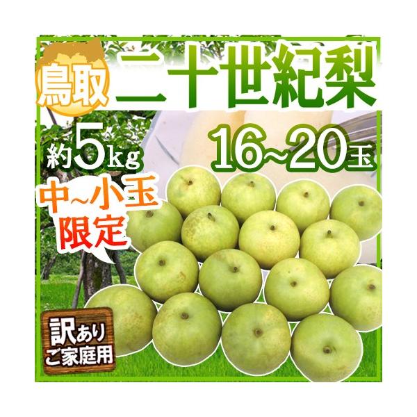 【発売日：2026年08月30日】【送料無料】見た目は訳ありだけど中身はシャクシャクジューシーで甘〜い鳥取産の「二十世紀梨」を大ボリュームでお届けします！/フルーツ/果物/5キロ/爆買
