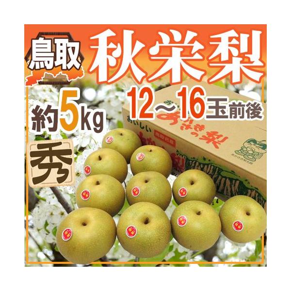 【発売日：2026年08月25日】【送料無料】青梨と赤梨のハーフは甘さ栄える蜜入り梨♪一口食べると驚くほどの甘さが口の中いっぱいに広がる衝撃の美味しさ！「梨の未来」を担う品種の一つです♪/フルーツ/果物/5キロ/爆買