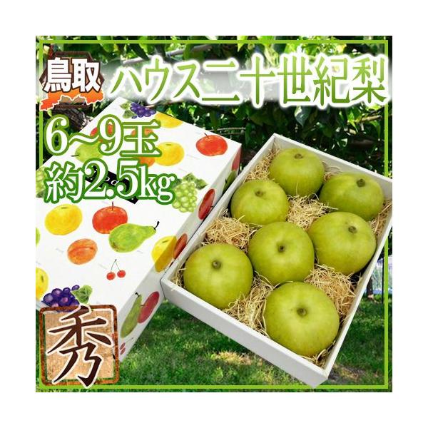 【発売日：2026年08月05日】【送料無料】「青梨の王様」甘味と酸味のバランスが抜群！果汁滴るジューシーでシャクシャクの二十世紀梨が一足お先にハウス栽培で登場♪乾いた体が潤うおいしさです！/20世紀梨/二〇世紀梨/フルーツ/果物/2.5キ...