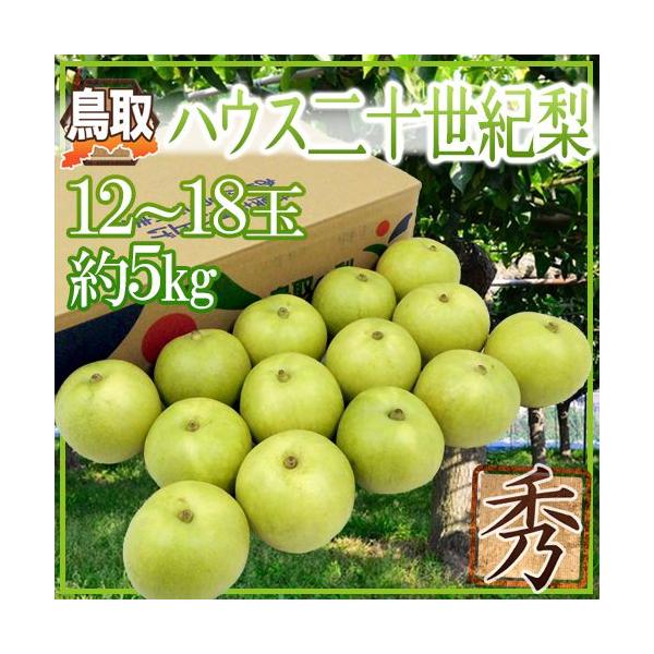 【発売日：2026年08月05日】【送料無料】「青梨の王様」甘味と酸味のバランスが抜群！果汁滴るジューシーでシャクシャクの二十世紀梨が一足お先にハウス栽培で登場♪乾いた体が潤うおいしさです！/20世紀梨/二〇世紀梨/フルーツ/果物/5キロ/爆買