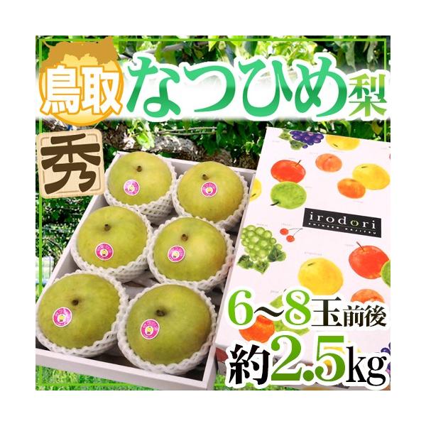 【発売日：2026年08月30日】【送料無料】青梨と赤梨のハーフ！一口食べると今までの「梨のイメージ」を変えるほどの新品種♪爽やかなシャキ感、甘みと酸味のほどよいバランスは梨好きさんも絶賛！梨/なし/ナシ/二十世紀梨/夏姫梨/鳥取梨/青ナシ...