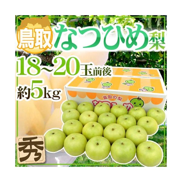 【発売日：2026年08月30日】【送料無料】青梨と赤梨のハーフ！一口食べると今までの「梨のイメージ」を変えるほどの新品種♪爽やかなシャキ感、甘みと酸味のほどよいバランスは梨好きさんも絶賛！二十世紀梨/夏姫/青梨/和梨/ナシ/なし/残暑見舞...