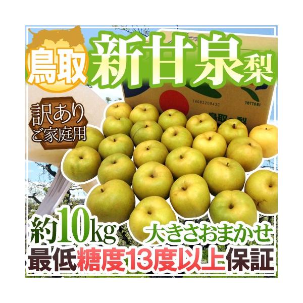 【発売日：2026年08月25日】【送料無料】青梨「二十世紀梨」と赤梨「筑水梨」のハーフ！一口食べると今までの「梨のイメージ」を変えるほどの新品種♪泉のようにあふれ出る甘さ、コクを作り出す酸味のバランスは絶品の一言！/フルーツ/果物/10キ...