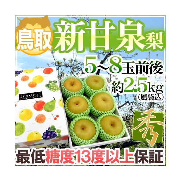 【発売日：2026年08月25日】【送料無料】青梨「二十世紀梨」と赤梨「筑水梨」のハーフ！一口食べると今までの「梨のイメージ」を変えるほどの新品種♪泉のようにあふれ出る甘さ、コクを作り出す酸味のバランスは絶品の一言！/新甘泉/鳥取新甘泉/新...