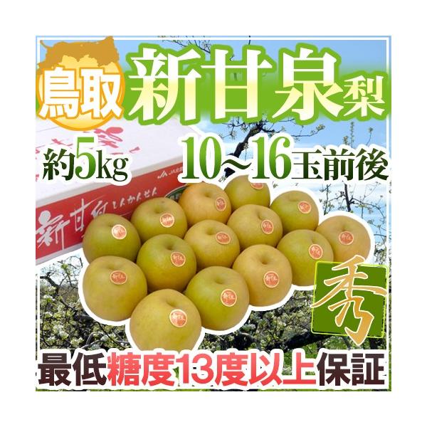 【発売日：2026年08月25日】【送料無料】青梨「二十世紀梨」と赤梨「筑水梨」のハーフ！一口食べると今までの「梨のイメージ」を変えるほどの新品種♪泉のようにあふれ出る甘さ、コクを作り出す酸味のバランスは絶品の一言！/新甘泉/鳥取新甘泉/新...