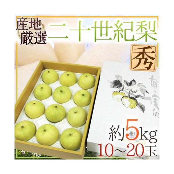 【発売日：2026年09月25日】【送料無料】「青梨の王様」甘味と酸味のバランスが抜群！果汁滴るジューシーでシャクシャクの20世紀梨♪乾いた体が潤うおいしさです！鳥取産・長野産・新潟産などその時の旬の産地でお届けいたします♪/フルーツ/果物...
