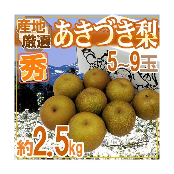 【発売日：2026年09月10日】【送料無料】幸水梨×豊水梨×新高梨、日本三大人気赤梨をかけあわせたサラブレッド！酸味を感じさせない爽やかな甘さでいくらでも食べられちゃいます♪/フルーツ/果物/2.5キロ/爆買