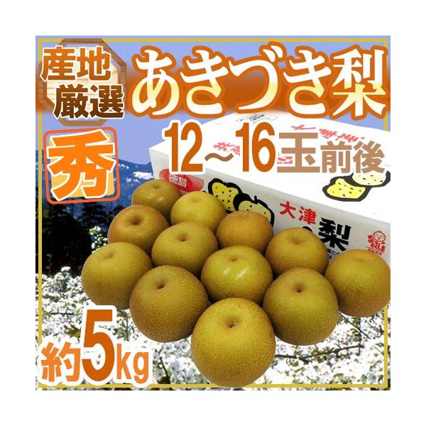 【発売日：2026年09月10日】【送料無料】幸水梨×豊水梨×新高梨、日本三大人気赤梨をかけあわせたサラブレッド！酸味を感じさせない爽やかな甘さでいくらでも食べられちゃいます♪/フルーツ/果物/5キロ/爆買