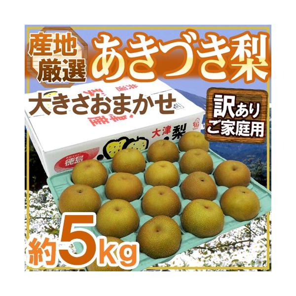 【発売日：2026年09月10日】【送料無料】幸水梨×豊水梨×新高梨、日本三大人気赤梨をかけあわせたサラブレッド！酸味を感じさせない爽やかな甘さでいくらでも食べられちゃいます♪/フルーツ/果物/5キロ/爆買