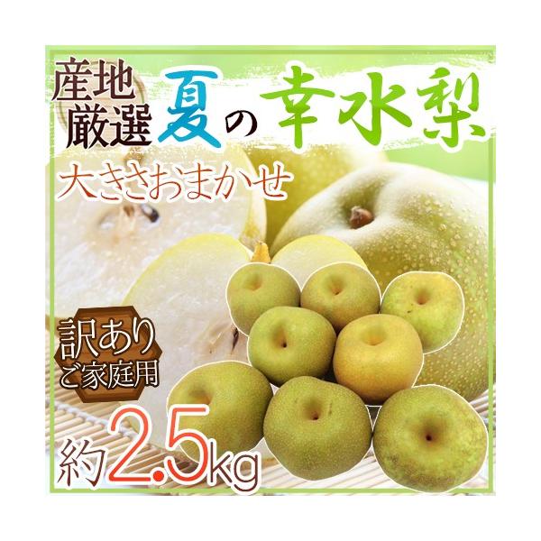 【発売日：2026年07月10日】【送料無料】じゅわりと滴る果汁、広がる優しい甘さ。シャクっとした柔らかな食感♪「やっぱり幸水梨はおいしい！」安心のおいしさの定番品種です！/フルーツ/果物/2.5キロ/爆買