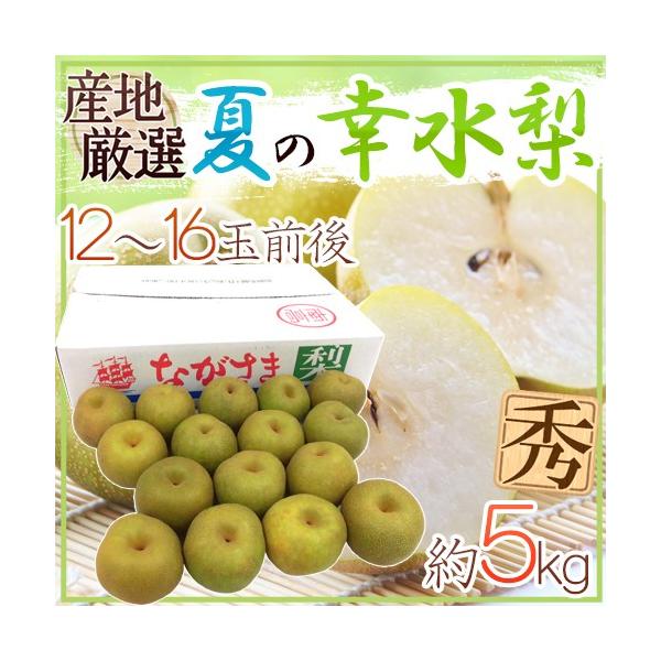 【発売日：2026年07月10日】【送料無料】じゅわりと滴る果汁、広がる優しい甘さ。シャクっとした柔らかな食感♪「やっぱり幸水梨はおいしい！」安心のおいしさの定番品種です！/フルーツ/果物/5キロ/爆買
