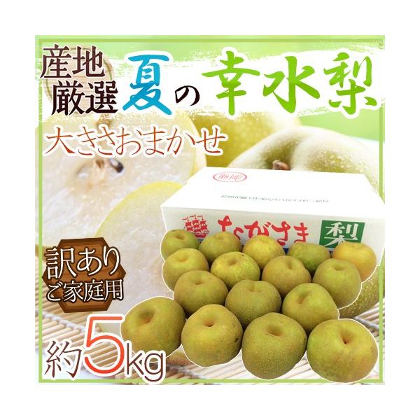 【発売日：2026年07月10日】【送料無料】じゅわりと滴る果汁、広がる優しい甘さ。シャクっとした柔らかな食感♪「やっぱり幸水梨はおいしい！」安心のおいしさの定番品種です！/フルーツ/果物/5キロ/爆買