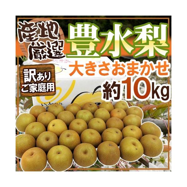 【発売日：2026年08月25日】【送料無料】甘さ・酸味のバランスが絶妙！甘いだけでない、深い豊かな味わい♪むいていると果汁が滴るほどジューシーでシャリシャリとした食感はたまりません！/フルーツ/果物/10キロ/爆買