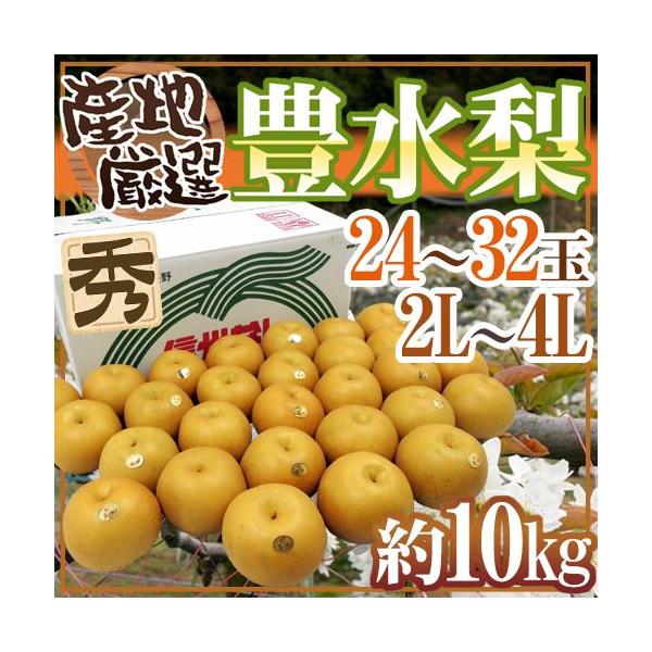 【発売日：2026年08月20日】【送料無料】甘さ・酸味のバランスが絶妙！甘いだけでない、深い豊かな味わい♪むいていると果汁が滴るほどジューシーでシャリシャリとした食感はたまりません！/フルーツ/果物/10キロ/爆買