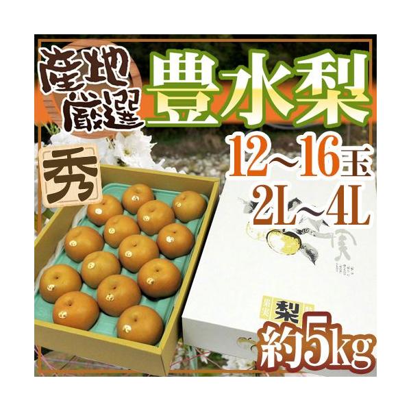 【発売日：2026年08月20日】【送料無料】甘さ・酸味のバランスが絶妙！甘いだけでない、深い豊かな味わい♪むいていると果汁が滴るほどジューシーでシャリシャリとした食感はたまりません！/フルーツ/果物/5キロ/爆買
