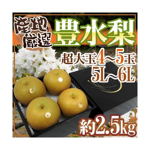 【発売日：2026年08月20日】【送料無料】甘さ・酸味のバランスが絶妙！甘いだけでない、深い豊かな味わい♪むいていると果汁が滴るほどジューシーでシャリシャリとした食感はたまりません！/フルーツ/果物/2.5キロ/爆買