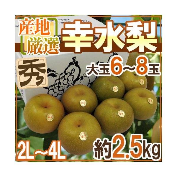 【発売日：2026年08月10日】【送料無料】じゅわりと滴る果汁、広がる優しい甘さ。シャクっとした柔らかな食感♪「やっぱり幸水梨はおいしい！」安心のおいしさの定番品種です！/フルーツ/果物/2.5キロ/爆買