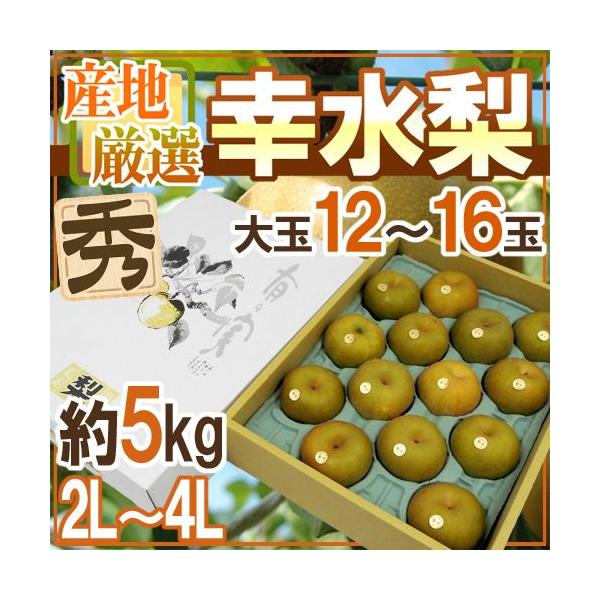 【発売日：2026年08月10日】【送料無料】じゅわりと滴る果汁、広がる優しい甘さ。シャクっとした柔らかな食感♪「やっぱり幸水梨はおいしい！」安心のおいしさの定番品種です！/フルーツ/果物/5キロ/爆買
