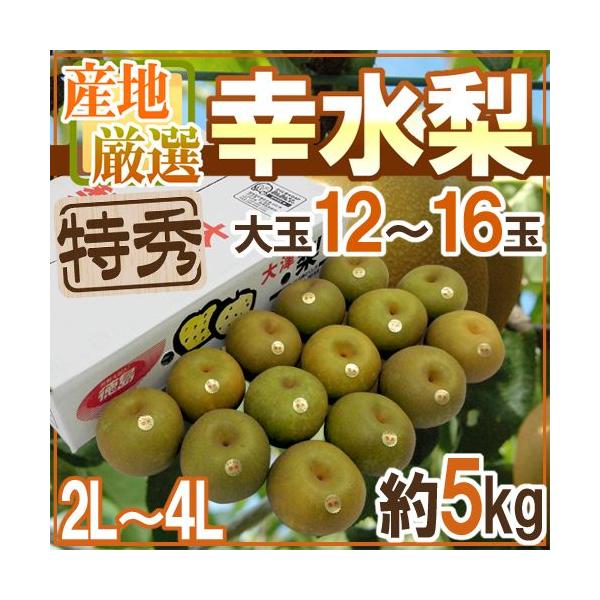 【発売日：2026年08月10日】【送料無料】じゅわりと滴る果汁、広がる優しい甘さ。シャクっとした柔らかな食感♪「やっぱり幸水梨はおいしい！」安心のおいしさの定番品種です！最低糖度12度以上保証！最高等級・特秀♪/フルーツ/果物/5キロ/爆買