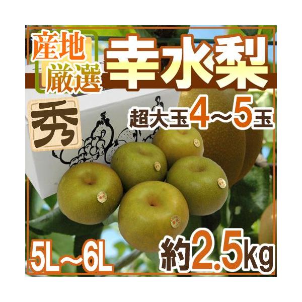 【発売日：2026年08月10日】【送料無料】じゅわりと滴る果汁、広がる優しい甘さ。シャクっとした柔らかな食感♪「やっぱり幸水梨はおいしい！」安心のおいしさの定番品種です！/フルーツ/果物/2.5キロ/爆買