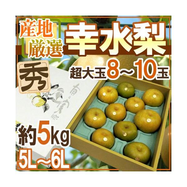 【発売日：2026年08月10日】【送料無料】じゅわりと滴る果汁、広がる優しい甘さ。シャクっとした柔らかな食感♪「やっぱり幸水梨はおいしい！」安心のおいしさの定番品種です！/フルーツ/果物/5キロ/爆買
