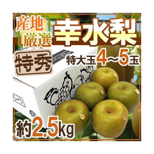 【発売日：2026年08月10日】【送料無料】じゅわりと滴る果汁、広がる優しい甘さ。シャクっとした柔らかな食感♪「やっぱり幸水梨はおいしい！」安心のおいしさの定番品種です！最高等級【特秀】糖度12度以上保証♪/フルーツ/果物/2.5キロ/爆買