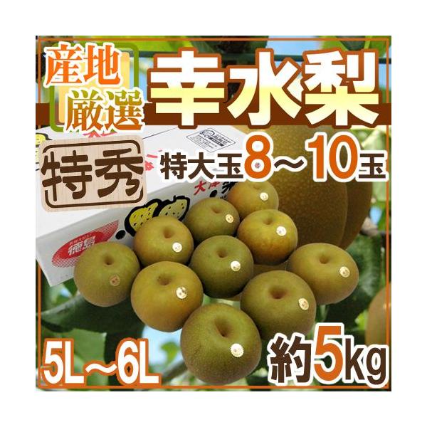 【発売日：2026年08月10日】【送料無料】じゅわりと滴る果汁、広がる優しい甘さ。シャクっとした柔らかな食感♪「やっぱり幸水梨はおいしい！」安心のおいしさの定番品種です！最高等級【特秀】糖度12度以上保証♪/フルーツ/果物/5キロ/爆買