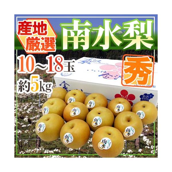 【発売日：2026年08月30日】【送料無料】大注目の新品種「南水」幸水や豊水をしのぐ濃い甘さと柔らかでシャクシャクの果肉、滴る果汁！！一度食べたら忘れられないおいしさの梨です♪/フルーツ/果物/5キロ/爆買