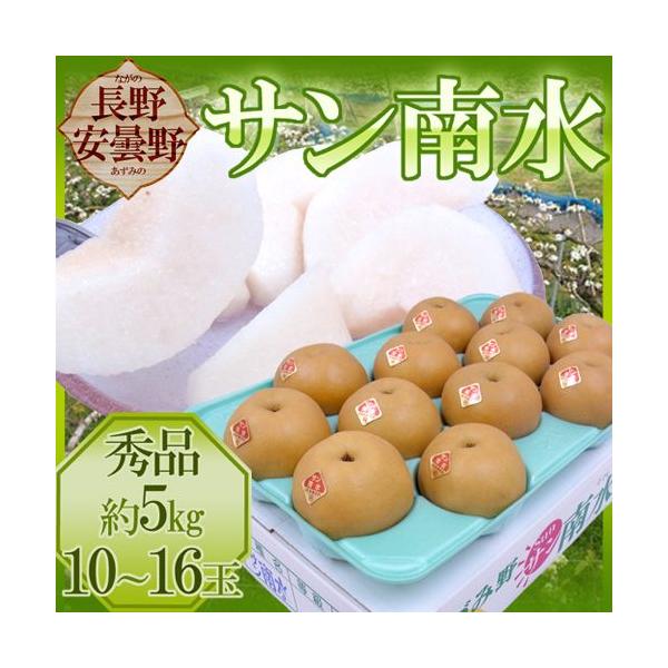 【発売日：2026年10月05日】【送料無料】太陽を燦々とあびた甘〜いサン南水！糖度16度以上も珍しくないという驚愕の甘さ！/フルーツ/果物/5キロ/爆買