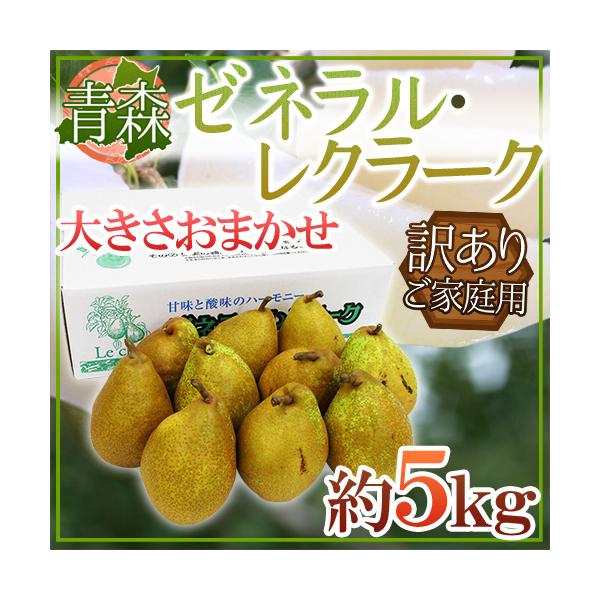 【発売日：2025年11月10日】【送料無料】口の中でほどけとけるほどなめらかな「洋ナシの将軍」甘さ・酸味・食感のバランスが絶妙で、濃密で濃厚な味わいです♪一口食べたらもう夢中♪/フルーツ/果物/5キロ/爆買