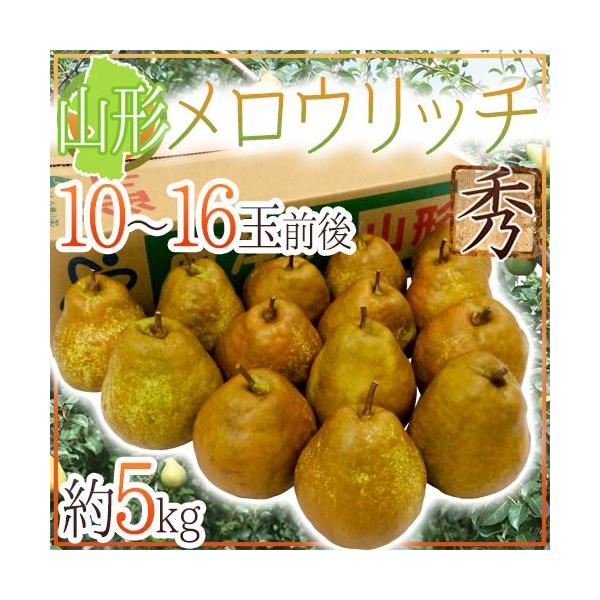 【発売日：2026年10月10日】【送料無料】「芳醇」で「高級」ラ・フランスの血を継ぎながらも、さらに甘く、薫り高く！名前に負けないその甘さは一口食べたら夢中になれる♪注目の洋梨です！/フルーツ/果物/5キロ/爆買