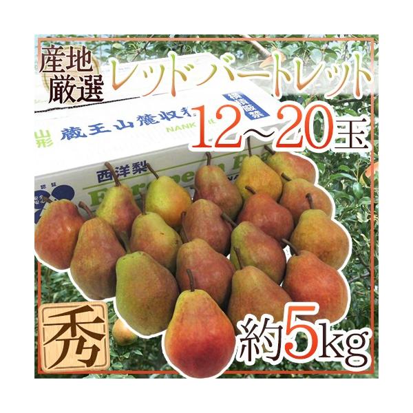【発売日：2026年09月10日】【送料無料】ラ・フランスより前に食べられる洋梨♪海外では洋梨といえばコレ！という品種「バートレット」の枝変わり♪赤く色付いた食欲をそそる姿♪甘さと酸味の濃厚なバランスと芳醇な香りが魅力です！バートレット/バ...