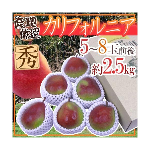 【発売日：2026年09月25日】【送料無料】美しい紅に染まるとろける洋梨！"幻の洋ナシ"デュ・コミスの血を継ぐその果肉の緻密でとろける食感は感動モノ♪芳醇な香りはリッチな気持ちにさせてくれます！/フルーツ/果物/2.5キロ/爆買