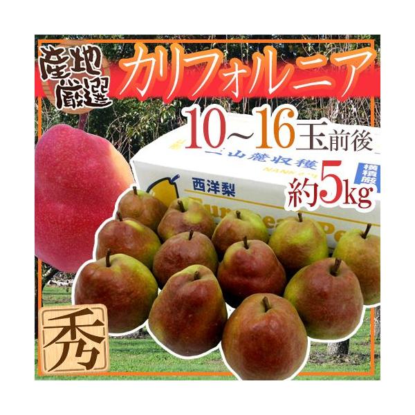 【発売日：2026年09月25日】【送料無料】美しい紅に染まるとろける洋ナシ！"幻の洋なし"デュ・コミスの血を継ぐその果肉の緻密でとろける食感は感動モノ♪芳醇な香りはリッチな気持ちにさせてくれます！/フルーツ/果物/5キロ/爆買