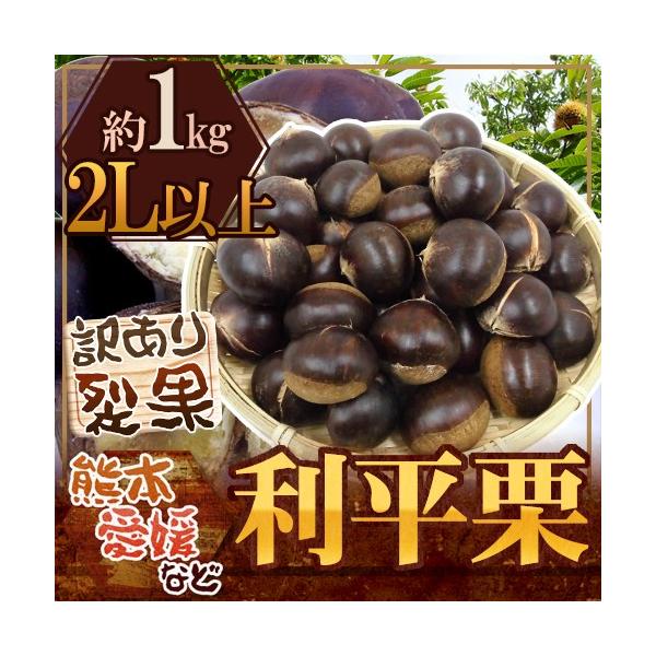 【発売日：2026年09月30日】老舗料亭や和菓子店のプロも認める品質の「利平栗」！他の栗の追随を許さない甘さと大粒♪ふっくらとしたシルエットがそのおいしさを物語っています！/フルーツ/果物/1キロ/爆買