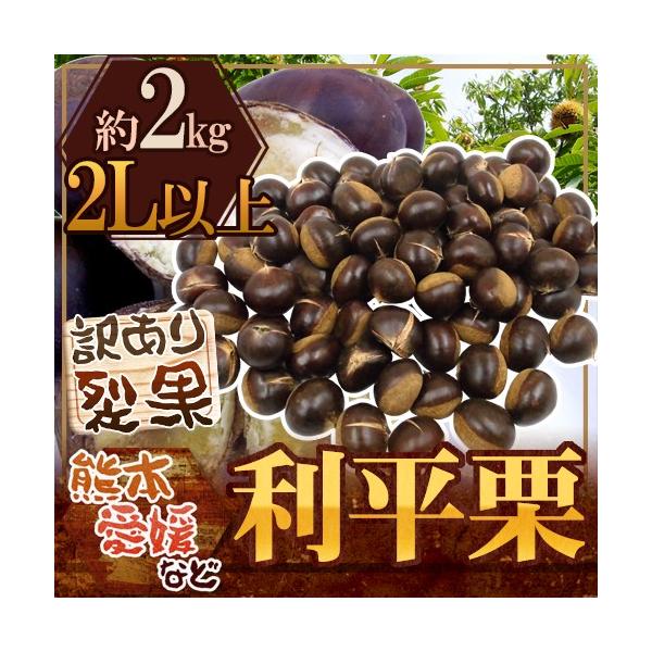 【発売日：2026年09月30日】【送料無料】老舗料亭や和菓子店のプロも認める品質の「利平栗」！他の栗の追随を許さない甘さと大粒♪ふっくらとしたシルエットがそのおいしさを物語っています!/フルーツ/果物/2キロ/爆買