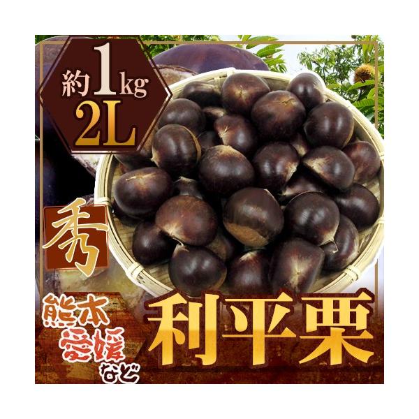 【発売日：2026年09月25日】老舗料亭や和菓子店のプロも認める品質の「利平栗」！他の栗の追随を許さない甘さと大粒♪ふっくらとしたシルエットがそのおいしさを物語っています!/フルーツ/果物/1キロ/爆買
