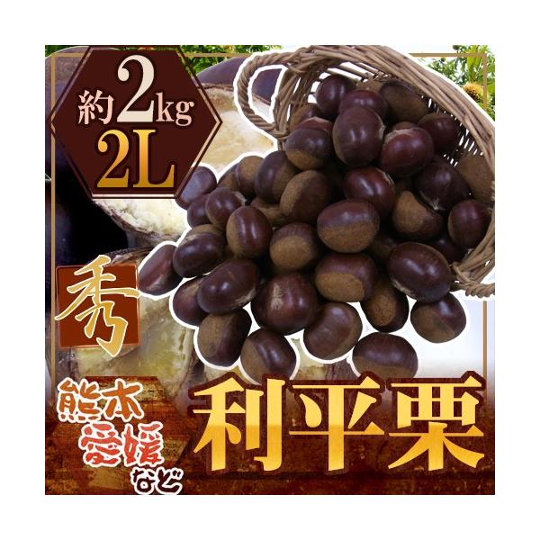 【発売日：2026年09月25日】【送料無料】老舗料亭や和菓子店のプロも認める品質の「利平栗」！他の栗の追随を許さない甘さと大粒♪ふっくらとしたシルエットがそのおいしさを物語っています!/フルーツ/果物/2キロ/爆買