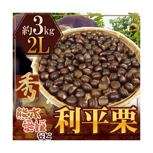 【発売日：2026年09月25日】【送料無料】老舗料亭や和菓子店のプロも認める品質の「利平栗」！他の栗の追随を許さない甘さと大粒♪ふっくらとしたシルエットがそのおいしさを物語っています!/フルーツ/果物/3キロ/爆買