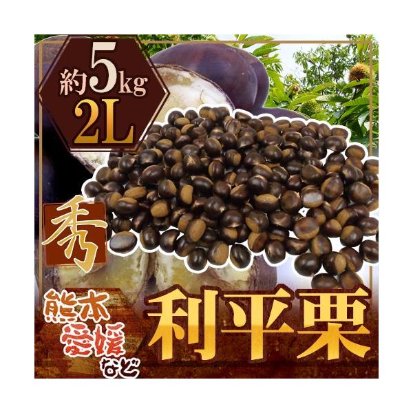 【発売日：2026年09月25日】【送料無料】老舗料亭や和菓子店のプロも認める品質の「利平栗」！他の栗の追随を許さない甘さと大粒♪ふっくらとしたシルエットがそのおいしさを物語っています!/フルーツ/果物/5キロ/爆買