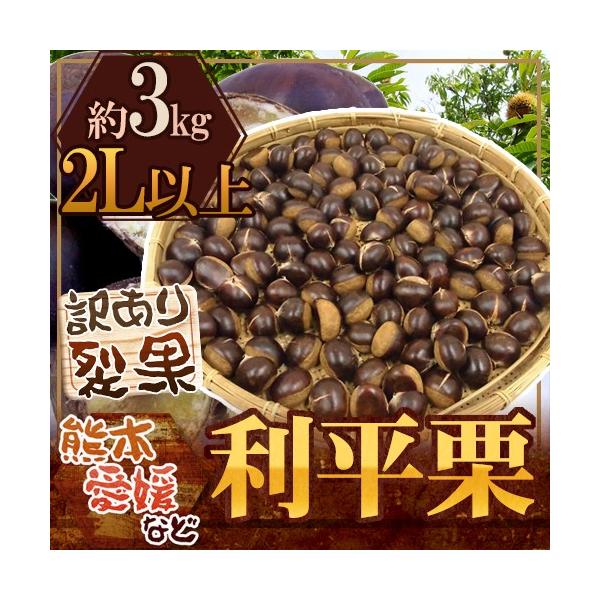 【発売日：2026年09月30日】【送料無料】老舗料亭や和菓子店のプロも認める品質の「利平栗」！他の栗の追随を許さない甘さと大粒♪ふっくらとしたシルエットがそのおいしさを物語っています！/フルーツ/果物/3キロ/爆買