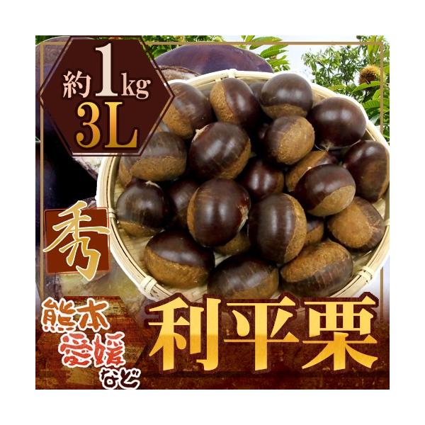 【発売日：2026年09月25日】老舗料亭や和菓子店のプロも認める品質の「利平栗」！他の栗の追随を許さない甘さと大粒♪ふっくらとしたシルエットがそのおいしさを物語っています!/フルーツ/果物/1キロ/爆買