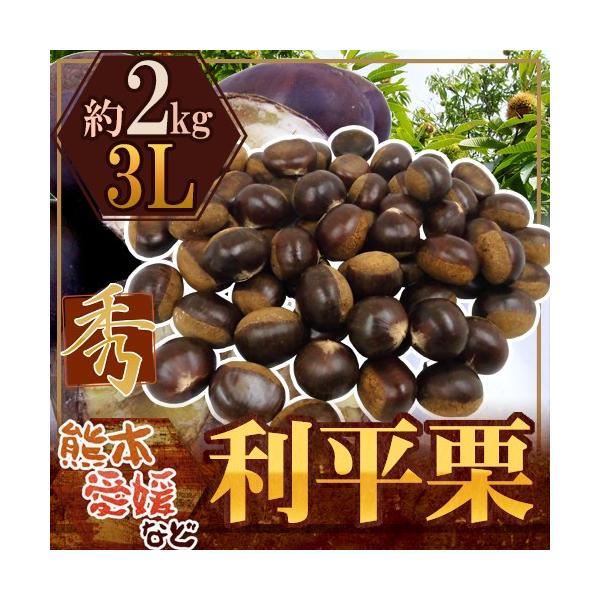 【発売日：2026年09月25日】【送料無料】老舗料亭や和菓子店のプロも認める品質の「利平栗」！他の栗の追随を許さない甘さと大粒♪ふっくらとしたシルエットがそのおいしさを物語っています!/フルーツ/果物/2キロ/爆買