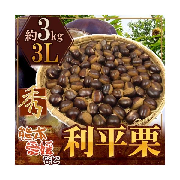 【発売日：2026年09月25日】【送料無料】老舗料亭や和菓子店のプロも認める品質の「利平栗」！他の栗の追随を許さない甘さと大粒♪ふっくらとしたシルエットがそのおいしさを物語っています!/フルーツ/果物/3キロ/爆買