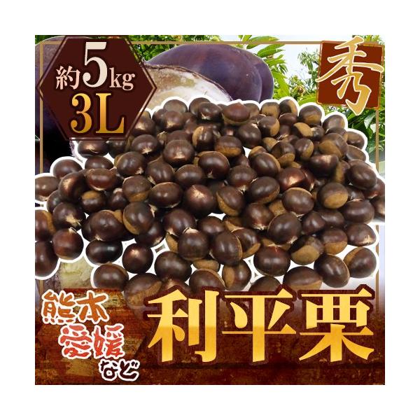 【発売日：2026年09月25日】【送料無料】老舗料亭や和菓子店のプロも認める品質の「利平栗」！他の栗の追随を許さない甘さと大粒♪ふっくらとしたシルエットがそのおいしさを物語っています!/フルーツ/果物/5キロ/爆買