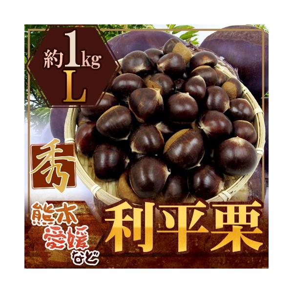 【発売日：2026年09月25日】老舗料亭や和菓子店のプロも認める品質の「利平栗」！他の栗の追随を許さない甘さと大粒♪ふっくらとしたシルエットがそのおいしさを物語っています!/フルーツ/果物/1キロ/爆買