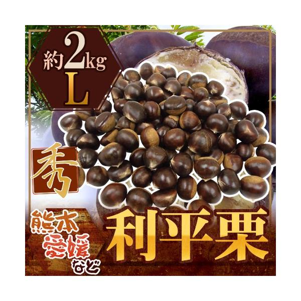 【発売日：2026年09月25日】【送料無料】老舗料亭や和菓子店のプロも認める品質の「利平栗」！他の栗の追随を許さない甘さと大粒♪ふっくらとしたシルエットがそのおいしさを物語っています!/フルーツ/果物/2キロ/爆買